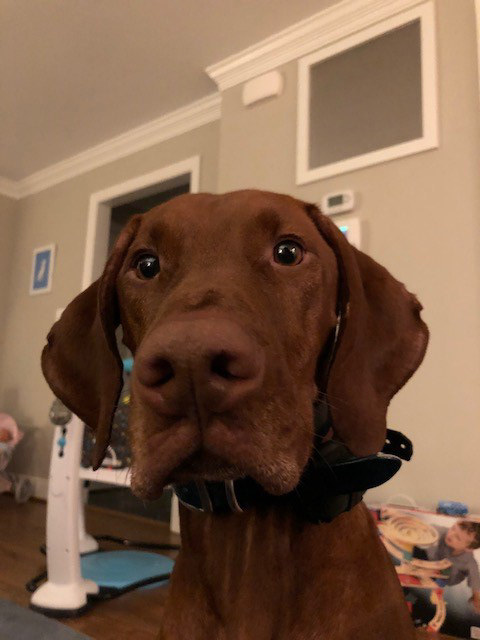 Lauren Davis Team: Bethesda, Edgemoor, Chevy Chase Real Estate | Meet ...